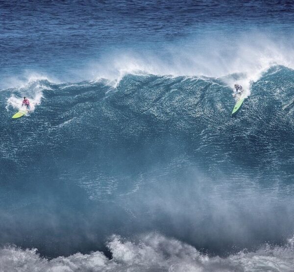 A Better Feeling Than Winning - Warm Collective